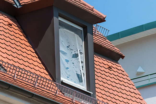 Understanding the Importance of Window & Screen Repair [infographic ...